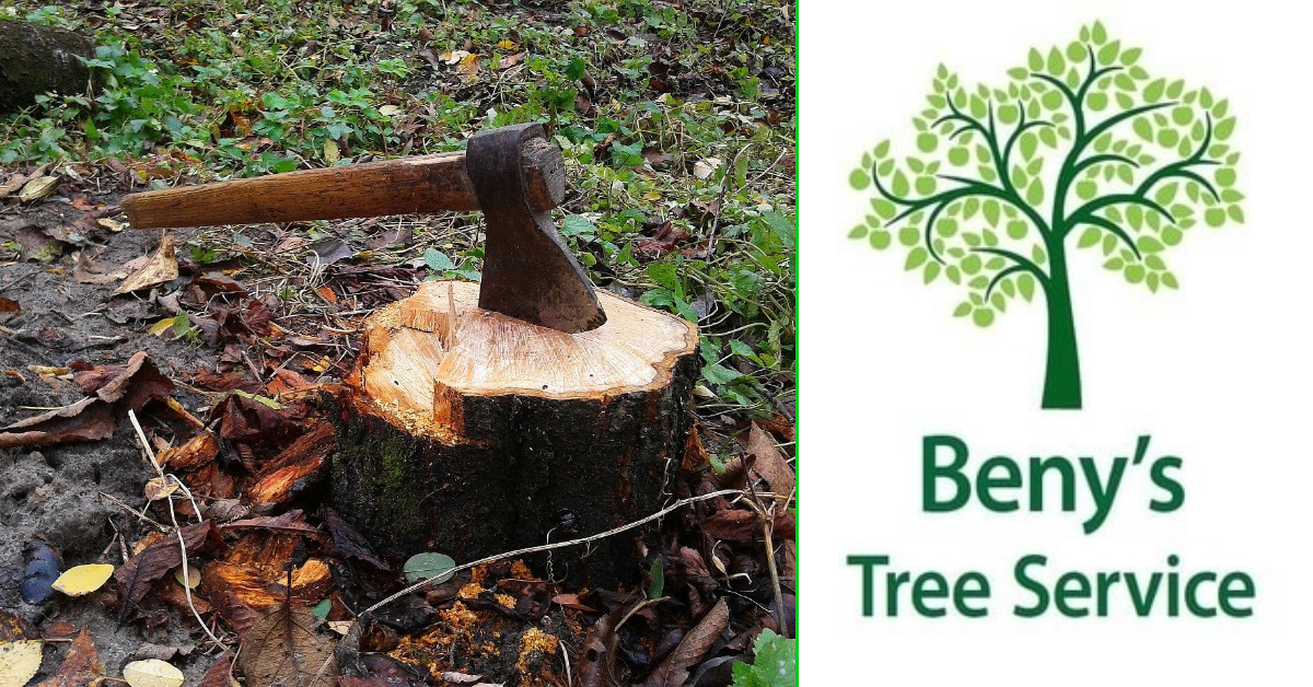 Beny's Tree Service